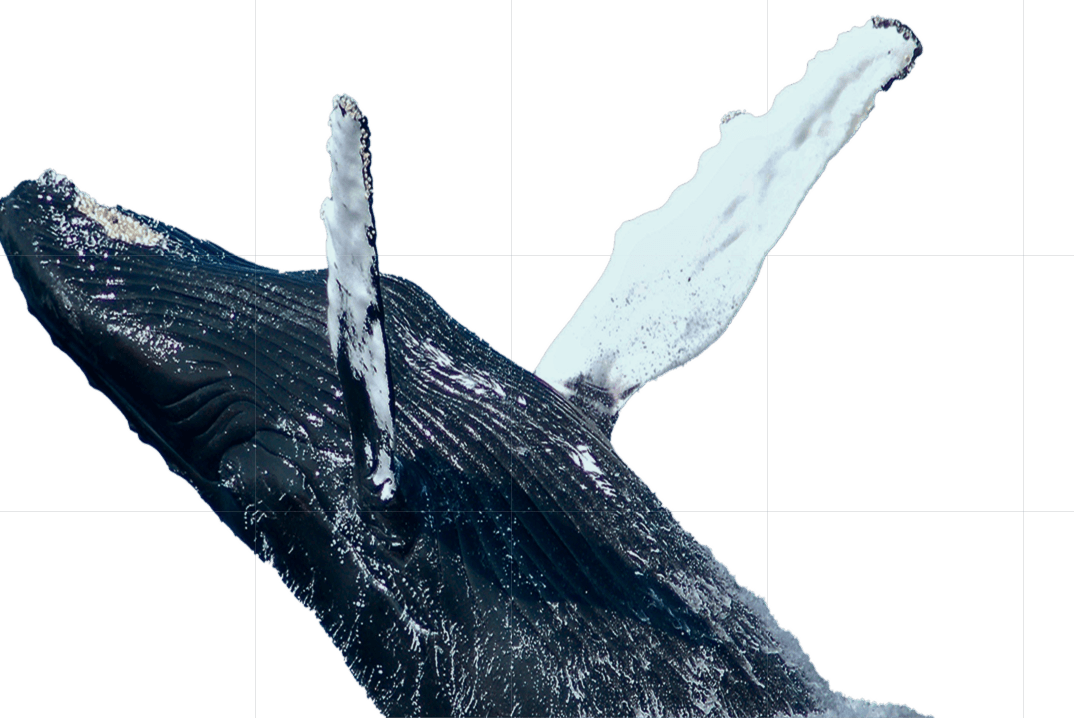 Protecting Blue Corridors — Home